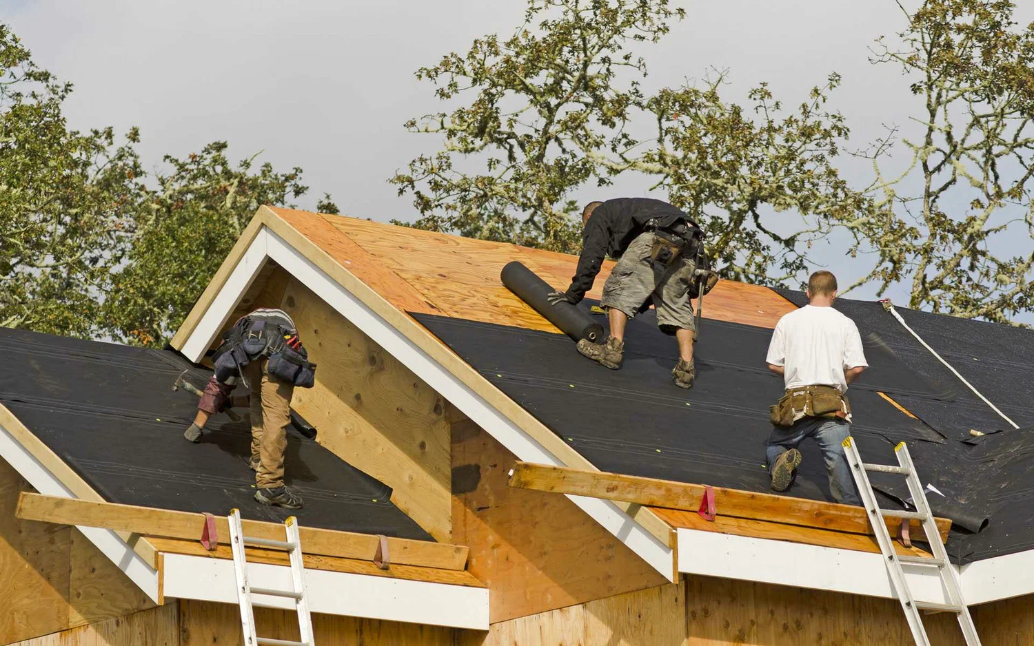 Best Roofing Restoration Services in Williamson County, IL
